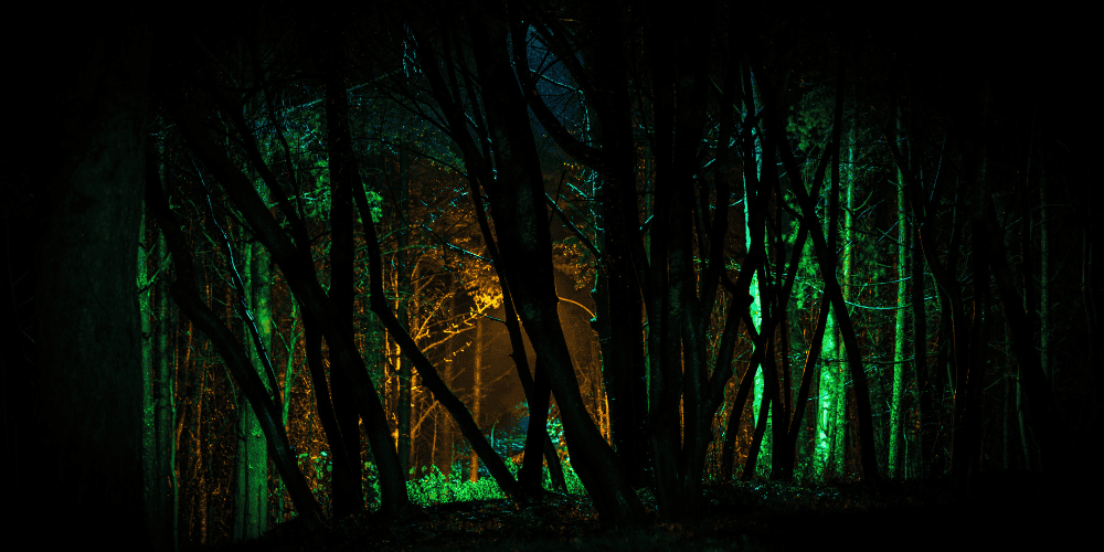 7 Landscape Tree Lighting Ideas (Easy & Quick)